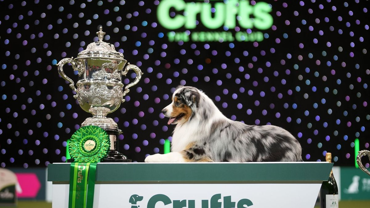 Crufts 2025 Exhibitor Checklist